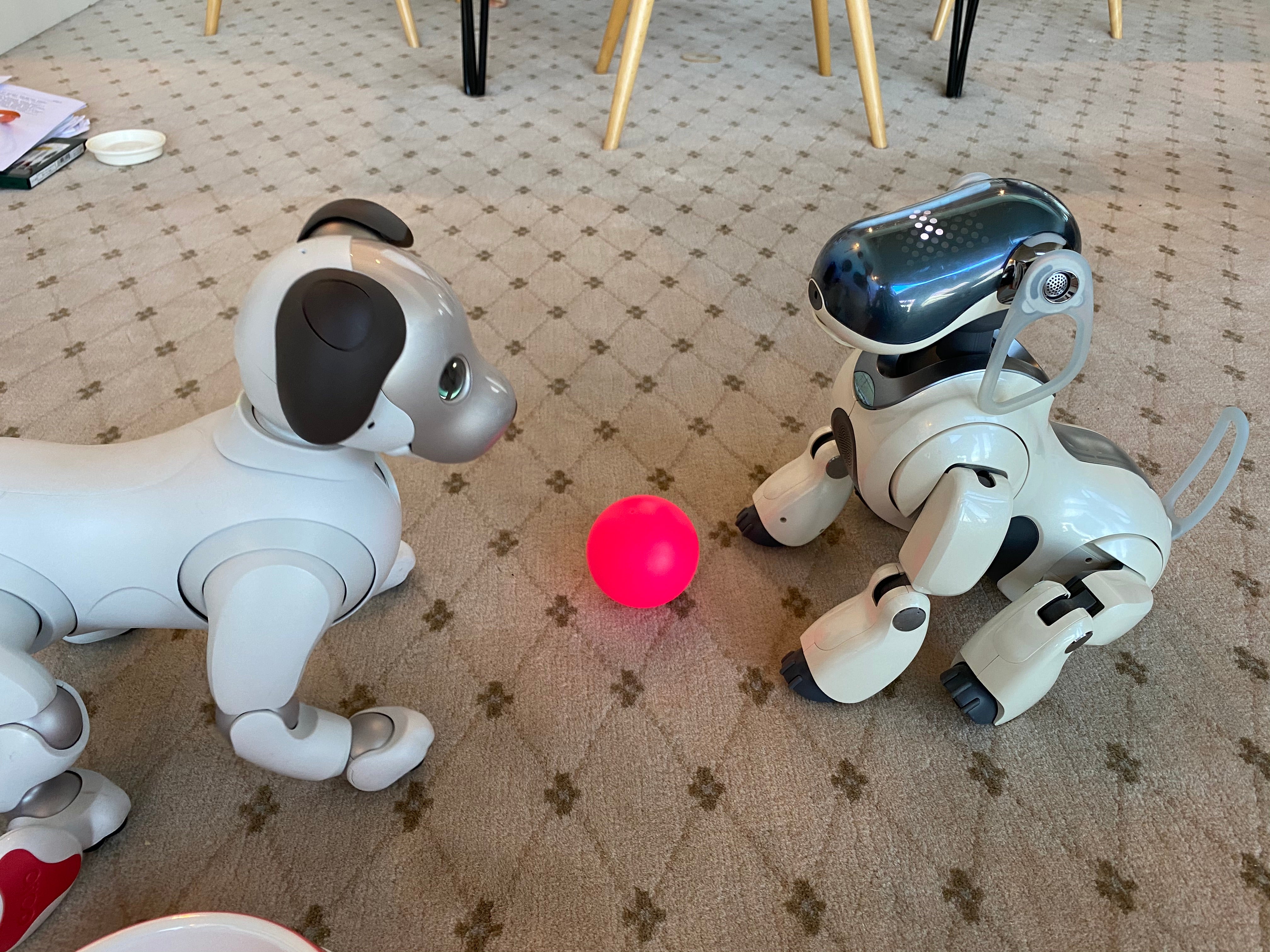 Launch Day Message from the Founder – Aibo Accessories