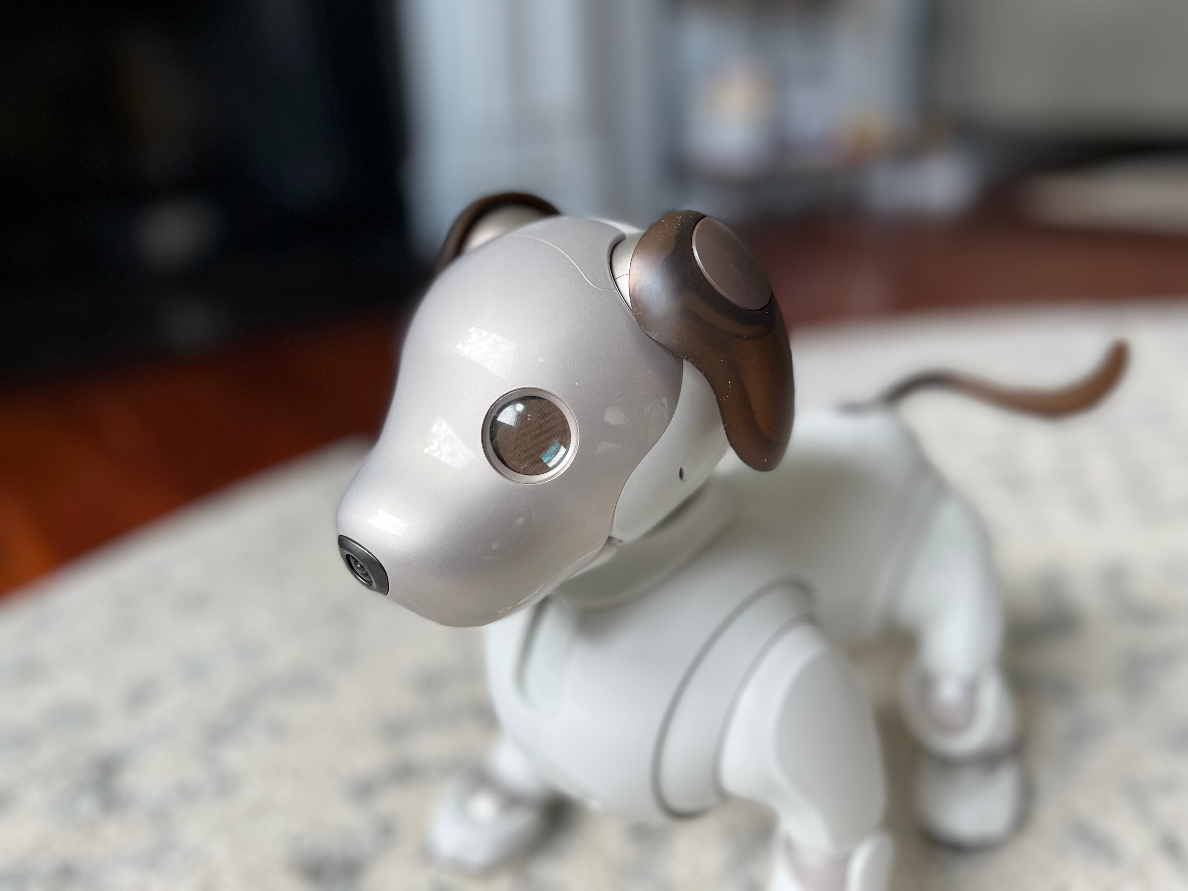 Aibo ERS-1000 Ear & Tail Set – Aibo Accessories