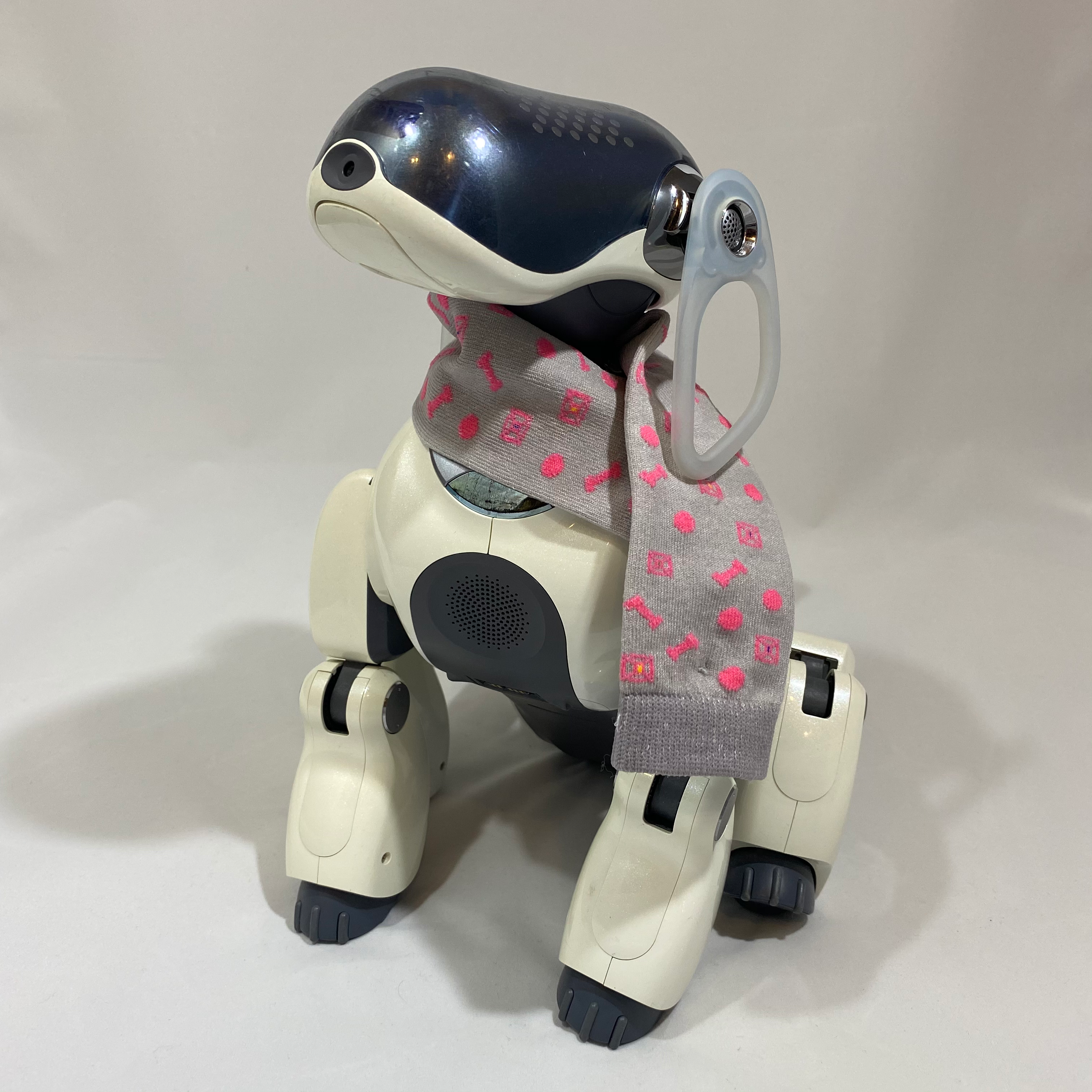 Aibo Scarf: Favorite Things – Aibo Accessories